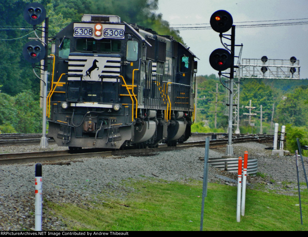 NS 6308
